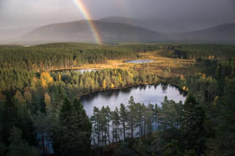 Discovering Badenoch: A Journey Through History, Heritage, and Nature - IYE